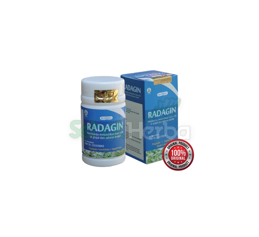 Radagin Memelihara Kesehatan Ginjal | Sehat Herba